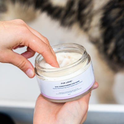 Luxurious, Natural Skin and Coat Care for Dogs – The Fur Love