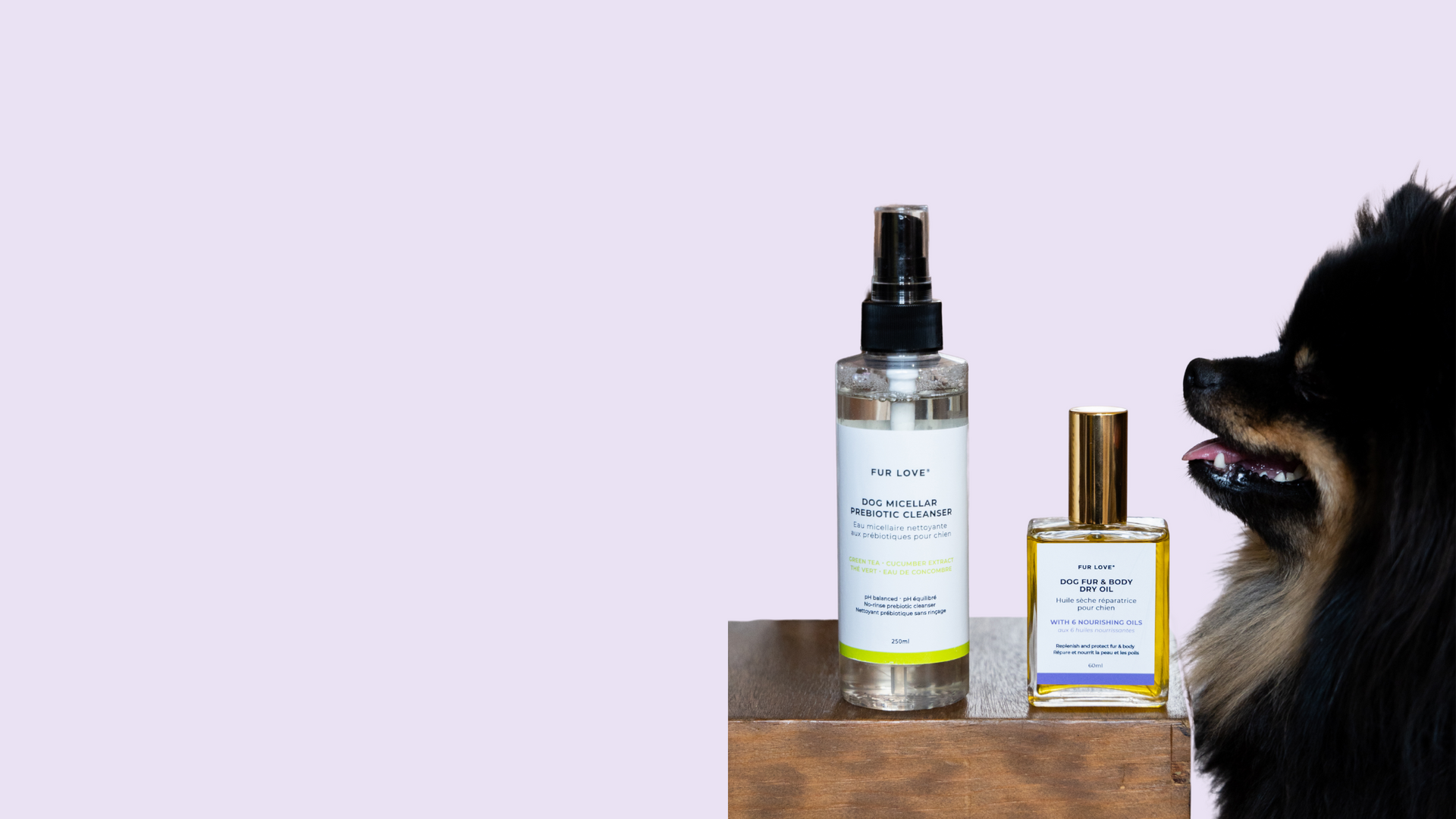 Luxurious, Natural Skin and Coat Care for Dogs – The Fur Love