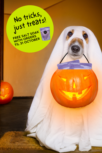 Luxurious, Natural Skin and Coat Care for Dogs – The Fur Love