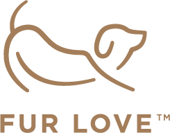 Luxurious, Natural Skin and Coat Care for Dogs – The Fur Love